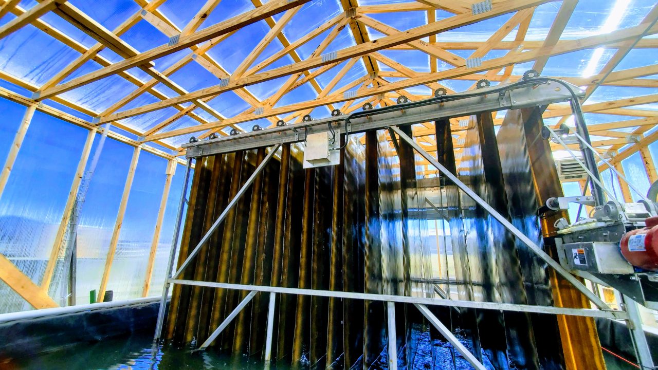 Gross-Wen Technologies | Sustainable Algae-Based Wastewater Cleaning ...