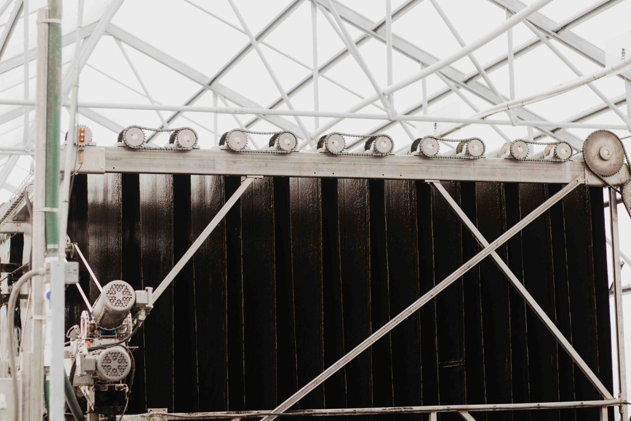 Gross-Wen Technologies | Sustainable Algae-Based Wastewater Cleaning ...